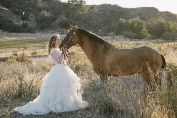 These 45 Animal Rescue Stories Will Restore Your Faith In Humanity - NewsD